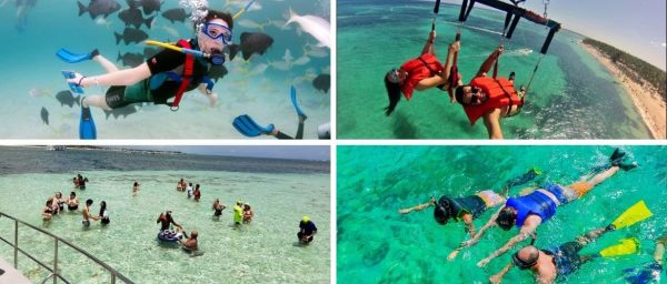 Are There Sharks in Punta Cana? Unveiling the Mystery - Punta Cana ...