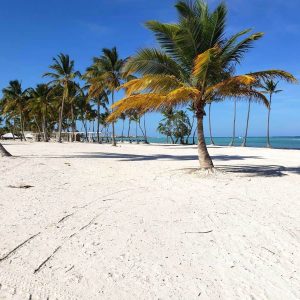 Top 4 Myths About Punta Cana Dominican Republic Safety