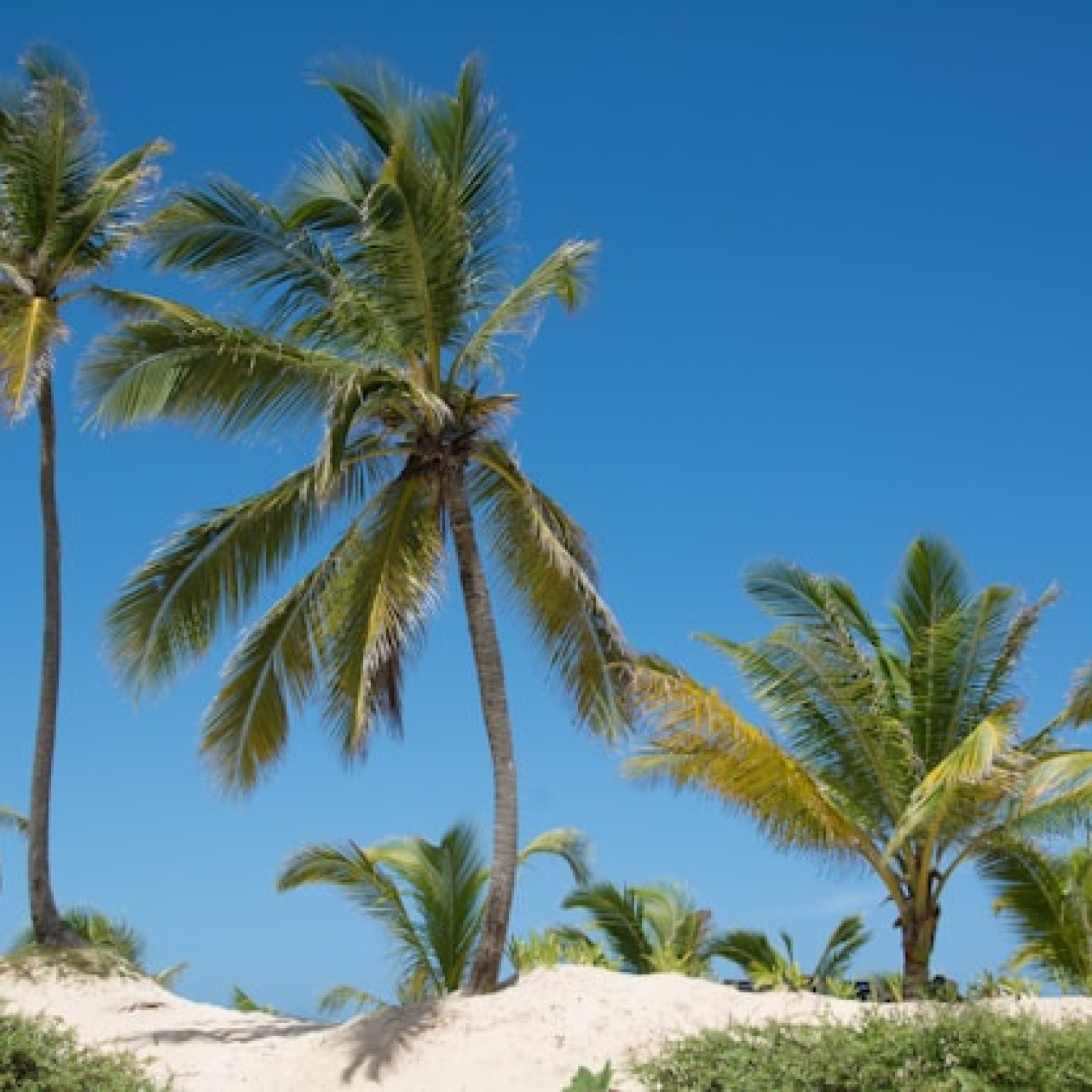Carte détaillée des stations balnéaires de Punta Cana